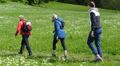 5 bonnes raisons d’aller marcher | ICI Explora