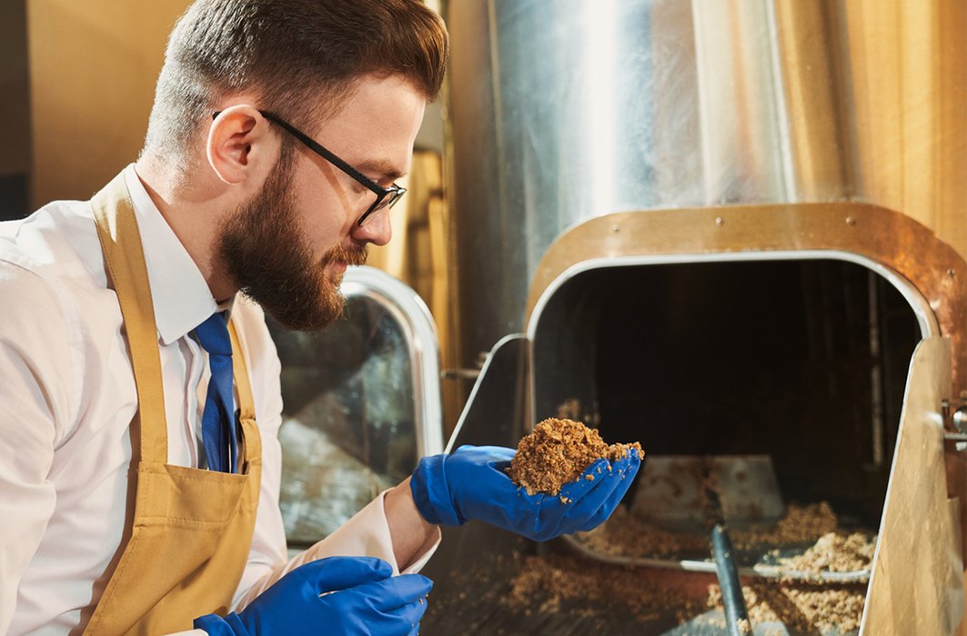 Donner une seconde vie à la drêche de brasserie | ICI Explora