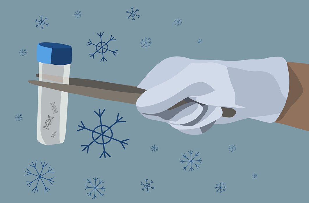 La cryogénisation pour préserver la biodiversité | ICI Explora